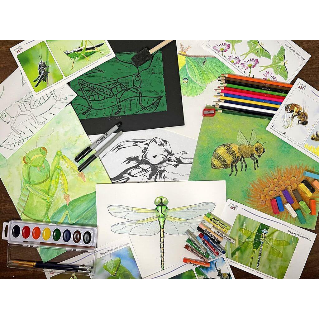 Homeschool Art Kit - Insects Art Box For Kids – I Create Art